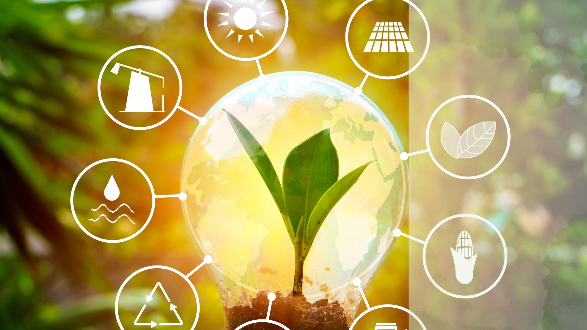 Shell e FAPESP investem em pesquisa para acelerar a transição ...